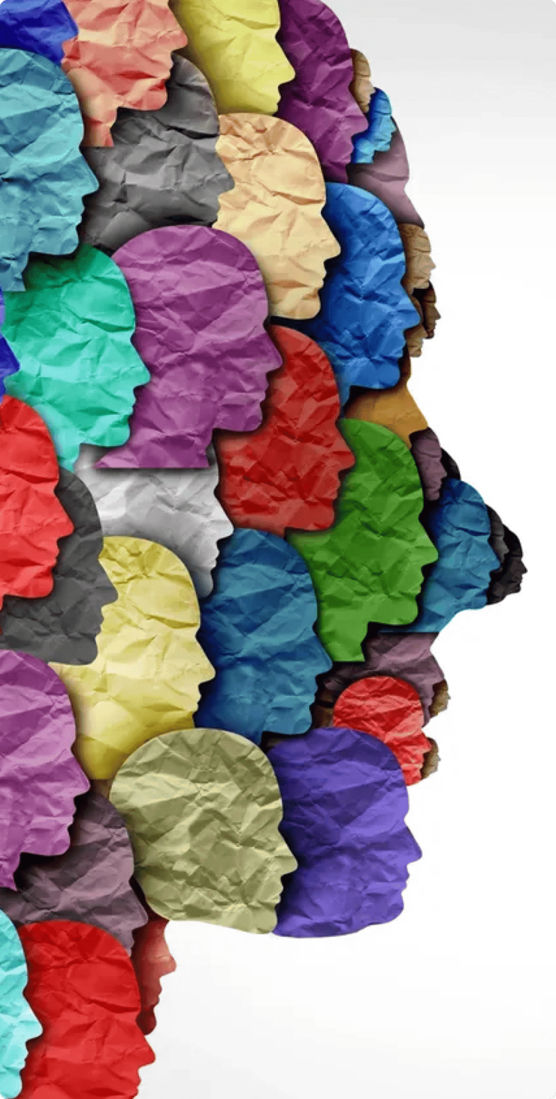 Products - Profiles Asia Pacific, Inc.